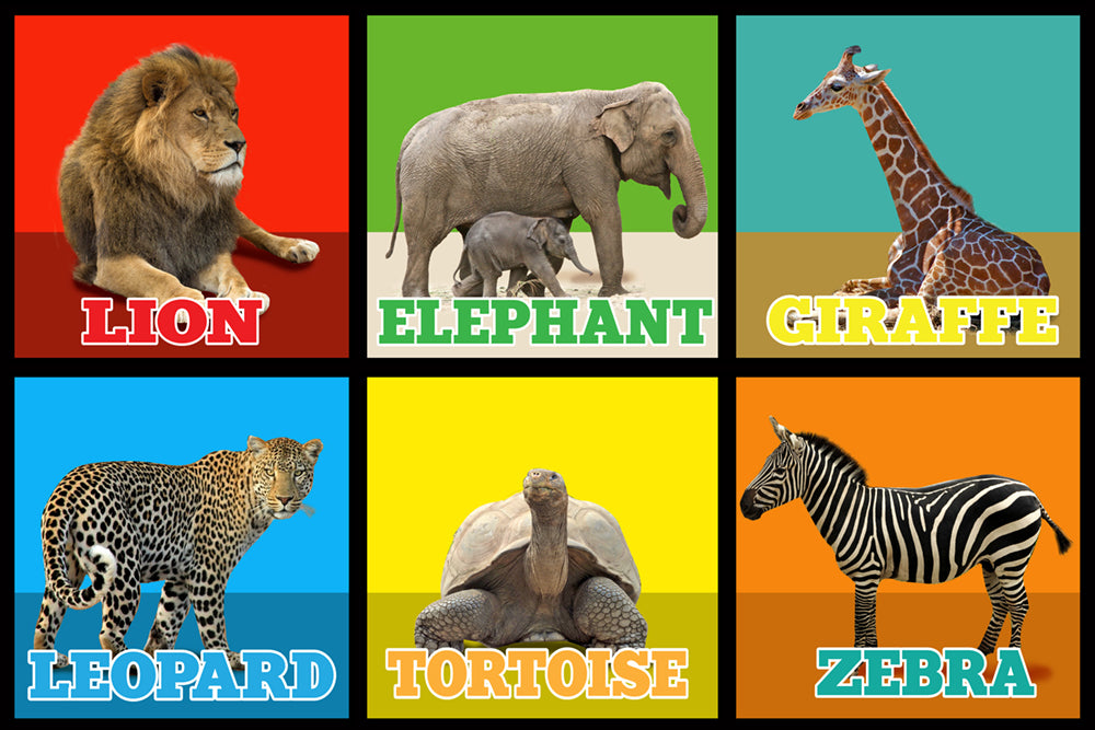 Animal Picture Squares Rug 6 – KidCarpet.com