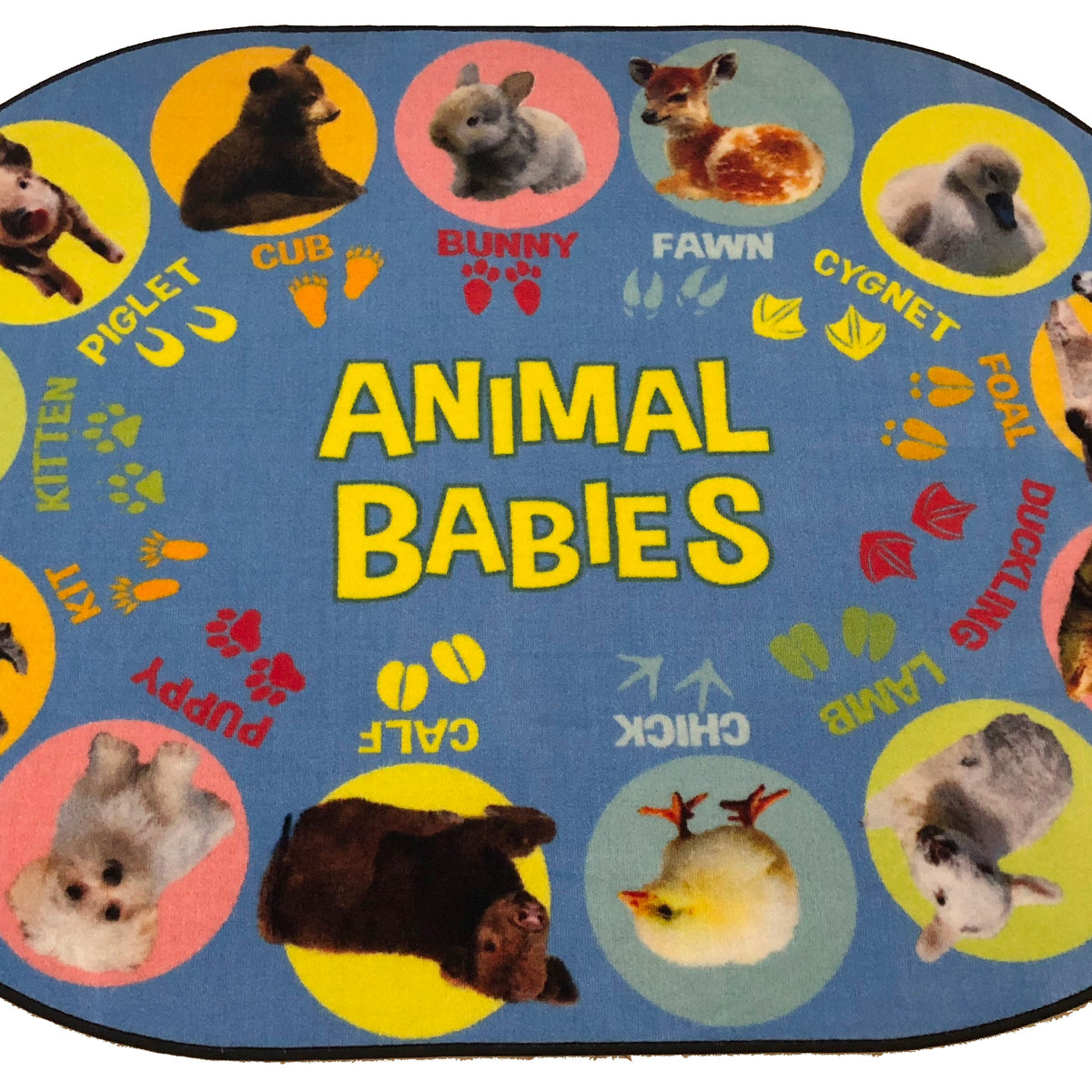 Daycare Rugs – KidCarpet.com