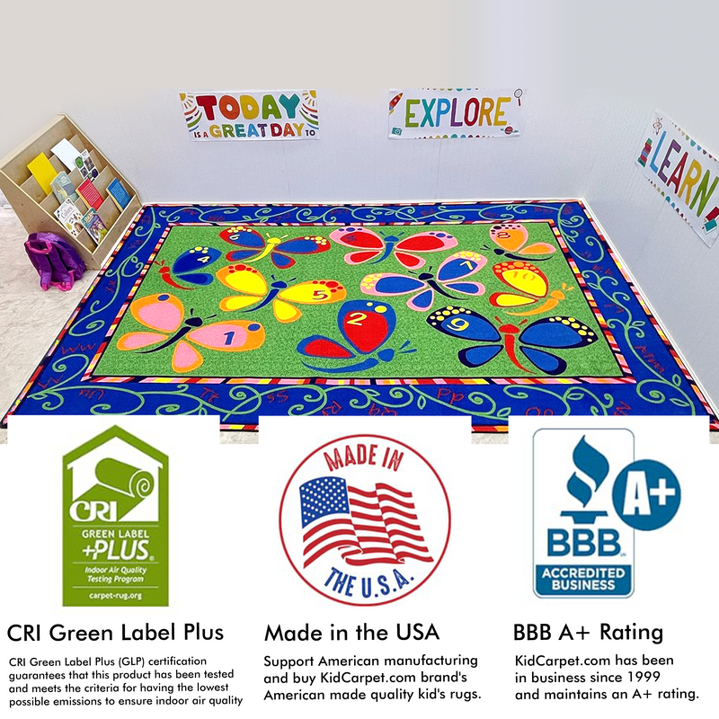 Learning on the Fly Rug – KidCarpet.com
